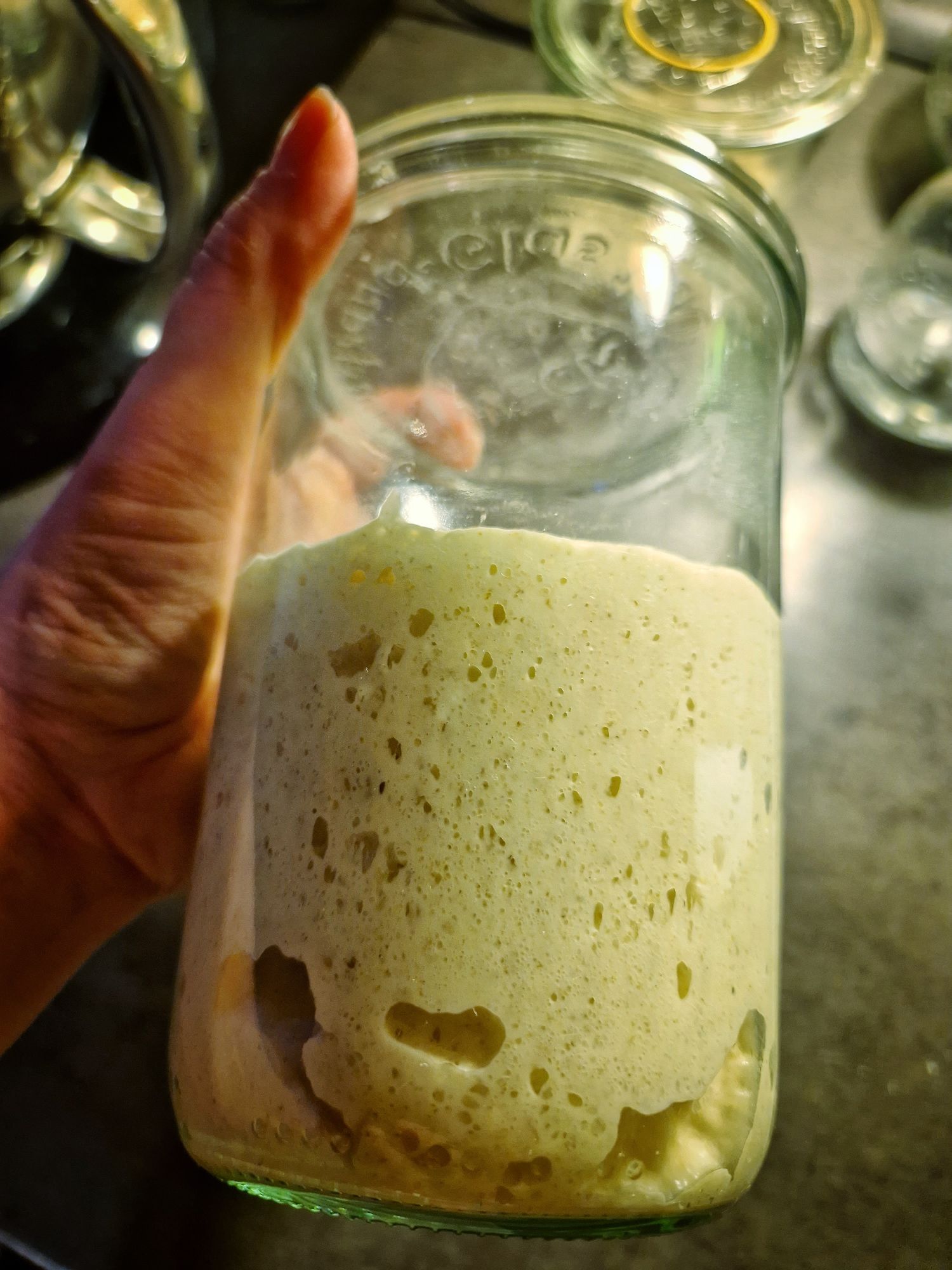 Kako napraviti čvrsti starter (domaći kvasac) – GorskiKotao