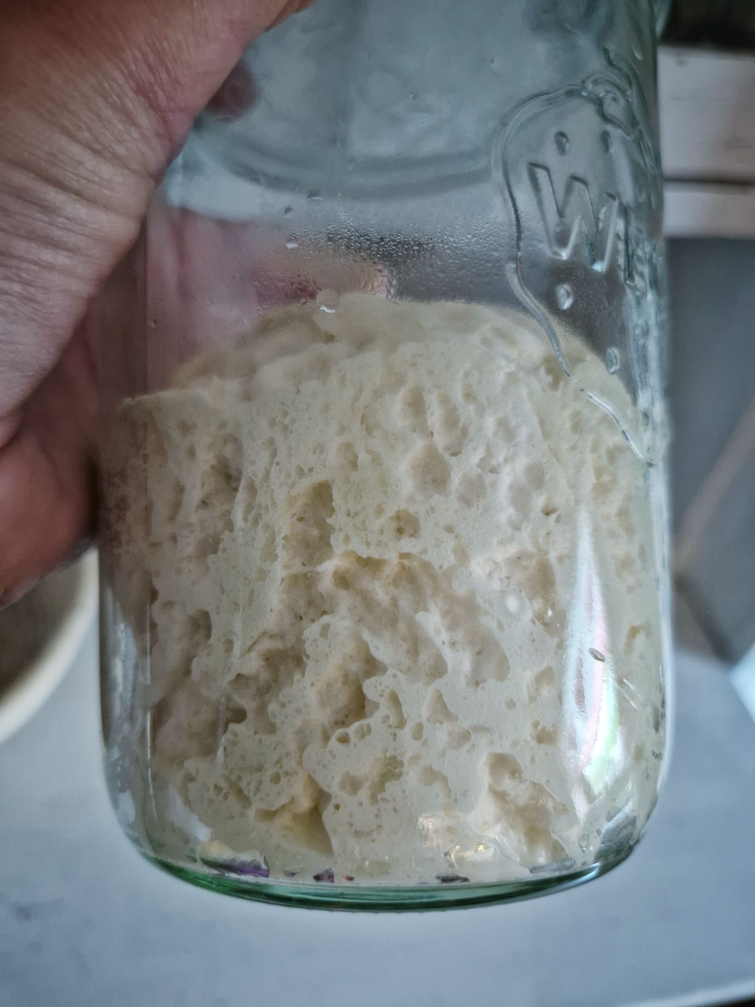 Kako napraviti čvrsti starter (domaći kvasac) – GorskiKotao