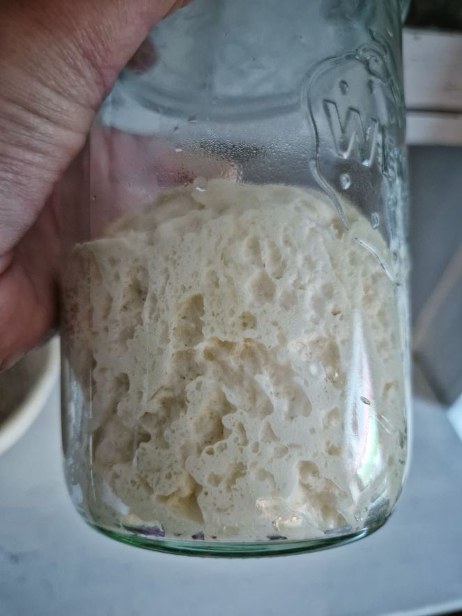 Kako napraviti čvrsti starter (domaći kvasac) – GorskiKotao